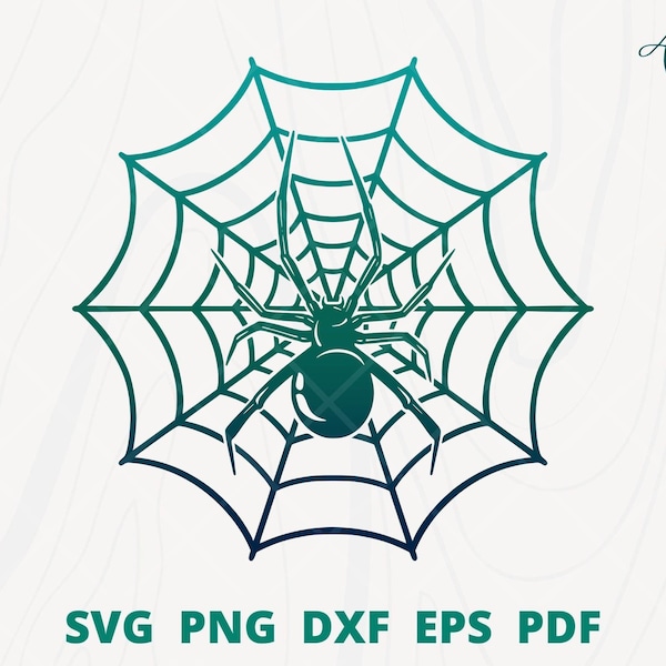 Spider Web Svg - Etsy