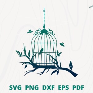 Bird Cage Svg Bundle, Bird Cage Svg, Bird Cage Wall Decor, Bird Cage ...