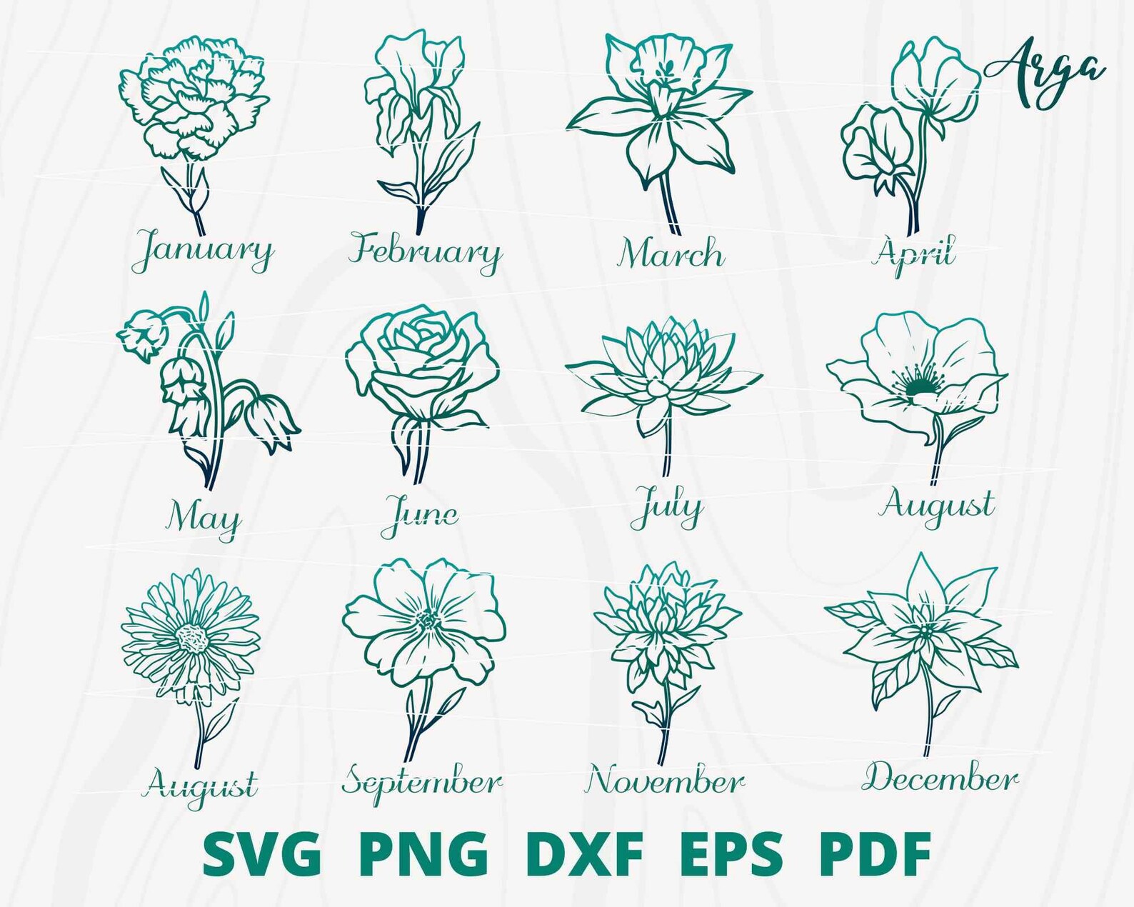 Birth Month Flower Bundle Birth Flower Svg Flower Svg - Etsy