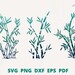 Bamboo Svg, Bamboo Stems Svg, Bamboo Svg Bundle, Bamboo Tree Svg ...
