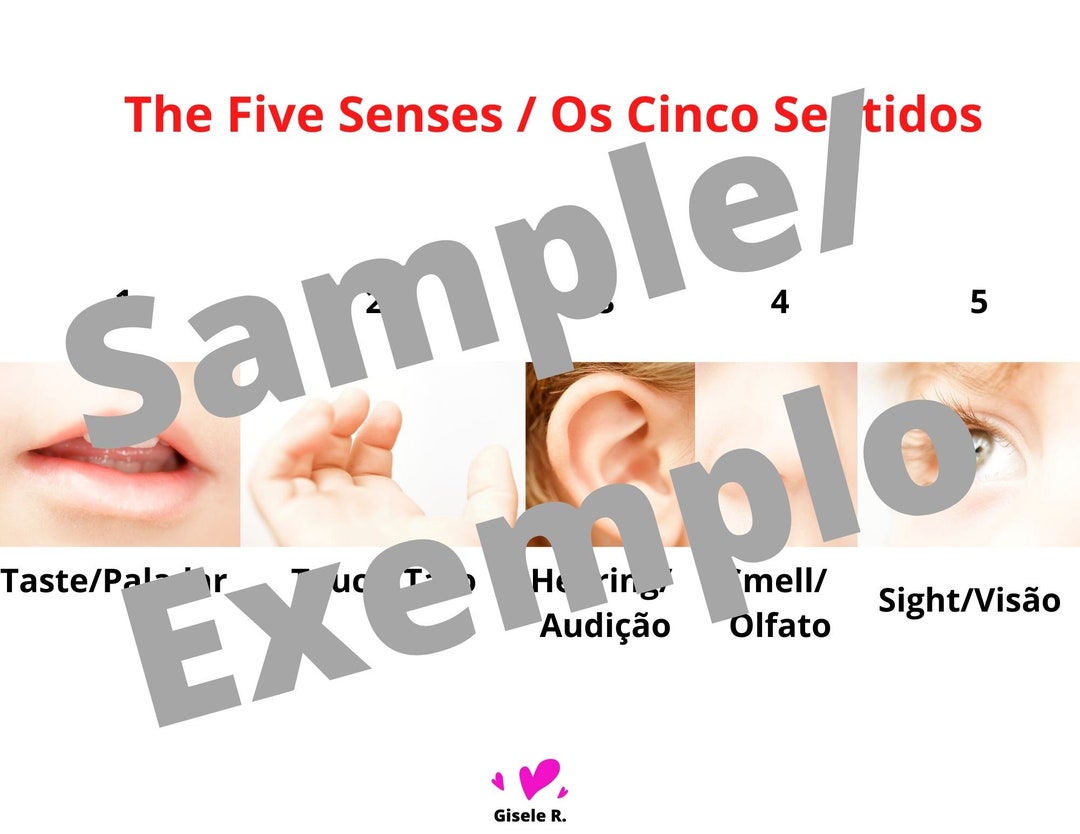 Learn Brazilian Portuguese 5 Senses Game PDF Digital Downloadable ...