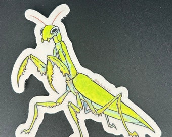 Mantis Insect Vinyl Sticker - Etsy UK