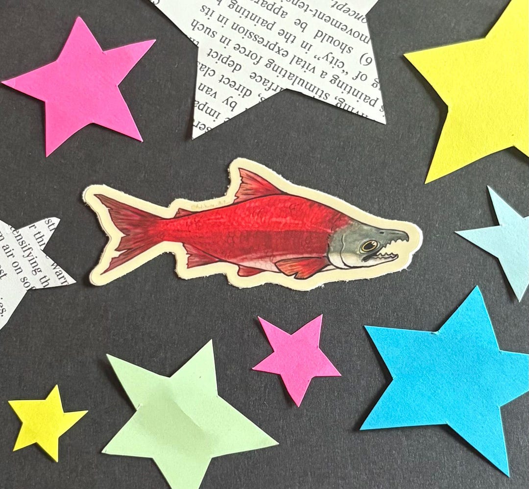 Sockeye Salmon Sticker - Etsy