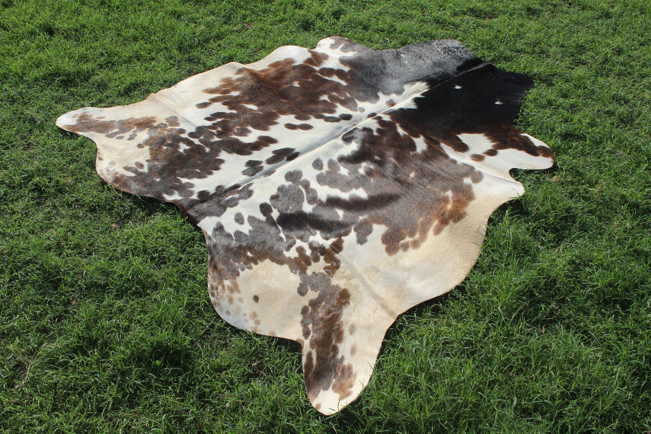 Genuine Tricolor Cowhide Rug Brazilian Cowhide Rug Tricolor Cow Hide ...