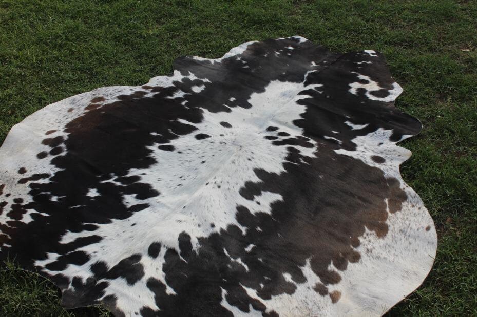 Tricolor Cowhide Rug Large Tricolor Cow Hide Area Rug Tricolor Cowhide ...