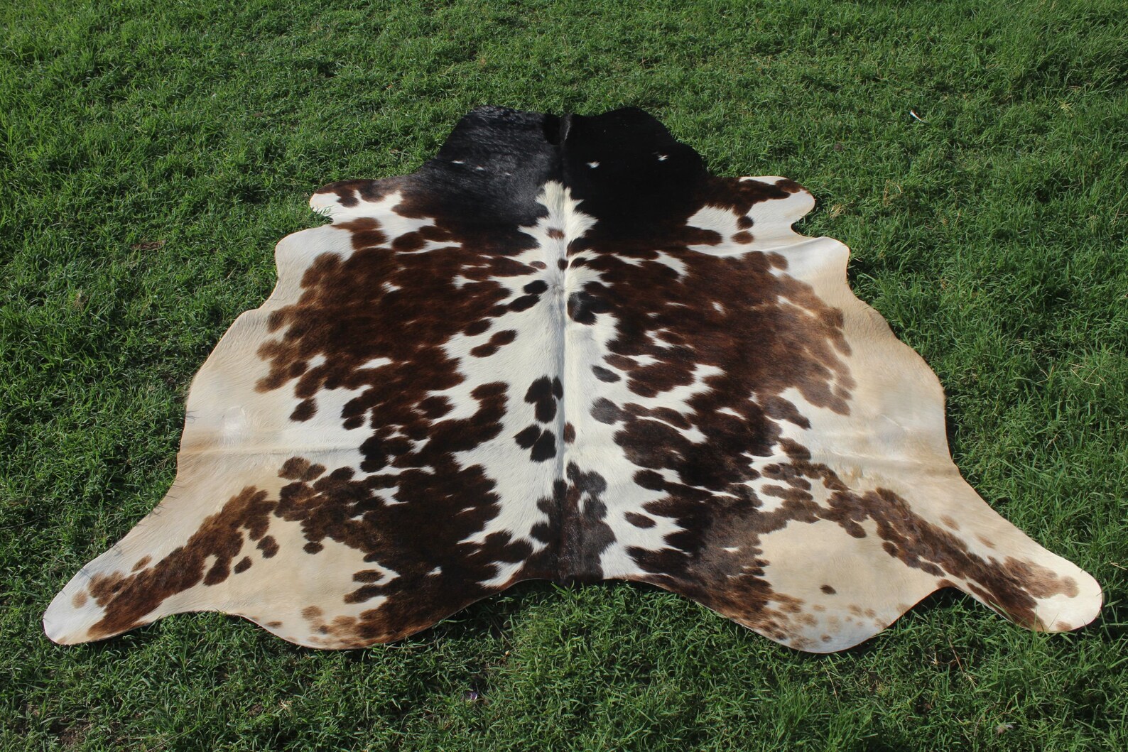 Tricolor Cowhide Rug Large Cowhide Rug Tricolor Cow Hide Area Rug ...