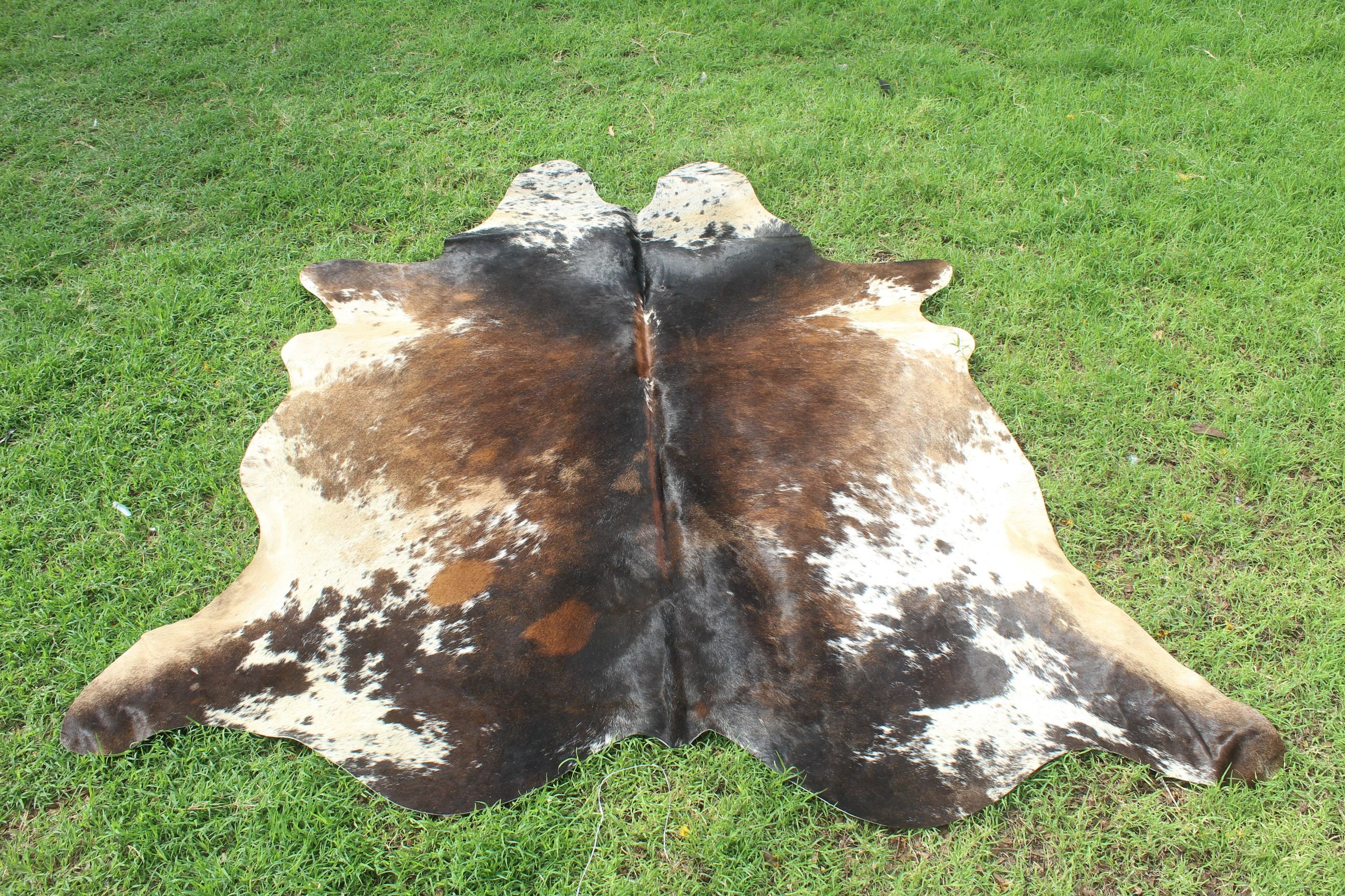 Genuine Tricolor Cowhide Rug Brazilian Cowhide Rug Tricolor Cow Hide ...