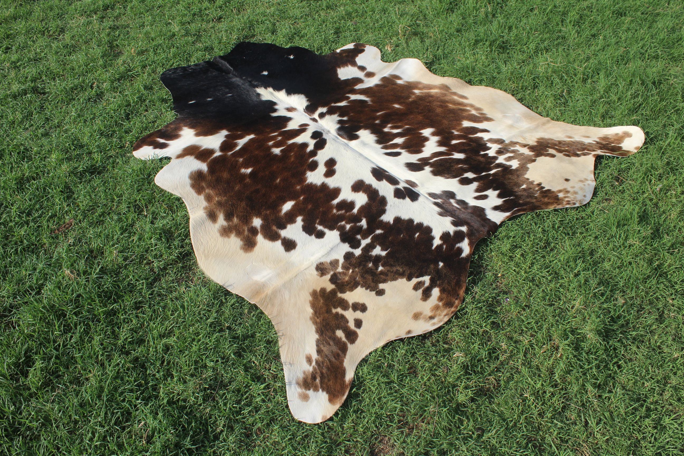 Genuine Tricolor Cowhide Rug Brazilian Cowhide Rug Tricolor Cow Hide ...