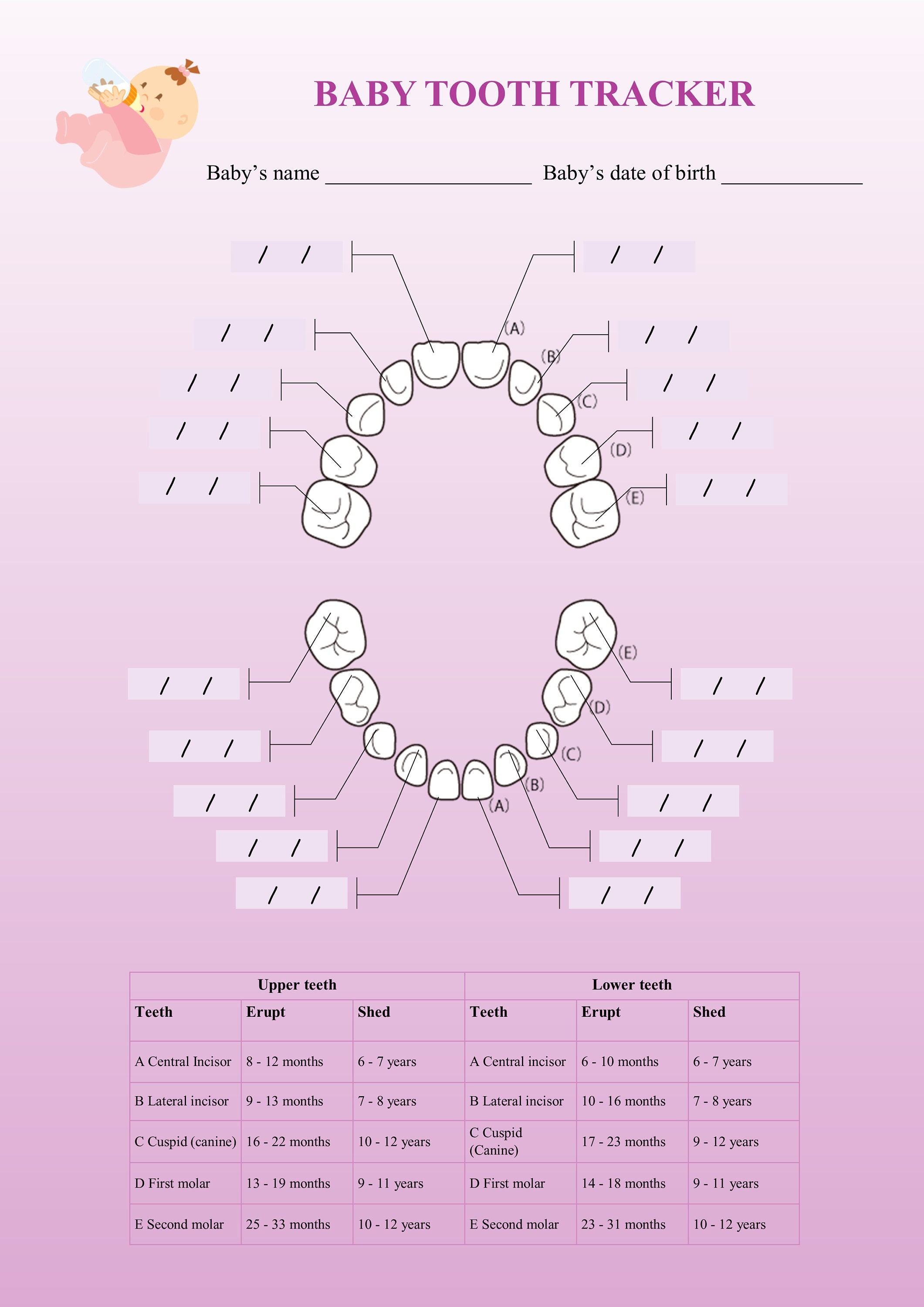 Baby Girl Tooth Tracker - Etsy