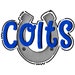 Colts PNG File Sublimation Design for Digital Download and - Etsy