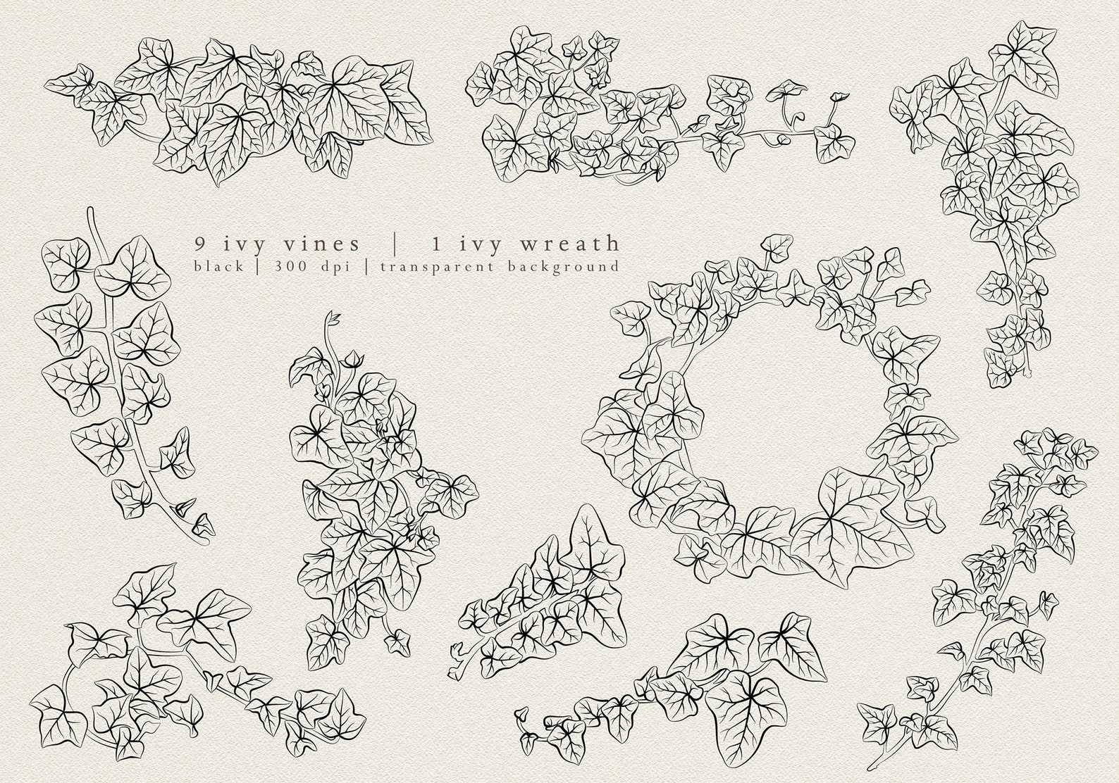 Ivy, Hedera Line Art, Botanical Clipart, SVG, Hand Drawn, Flower Line ...