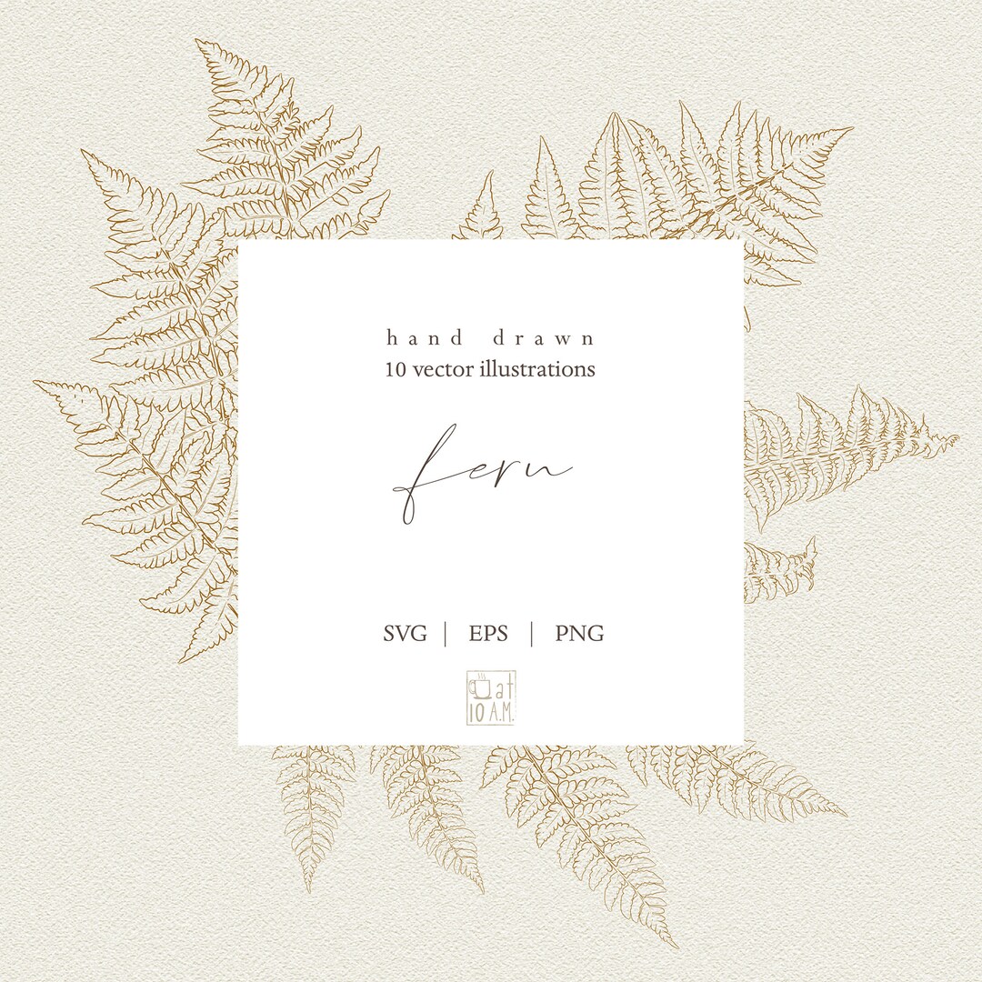 Fern Line Art, SVG, Botanical Clipart, Hand Drawn, Flower Line Art ...