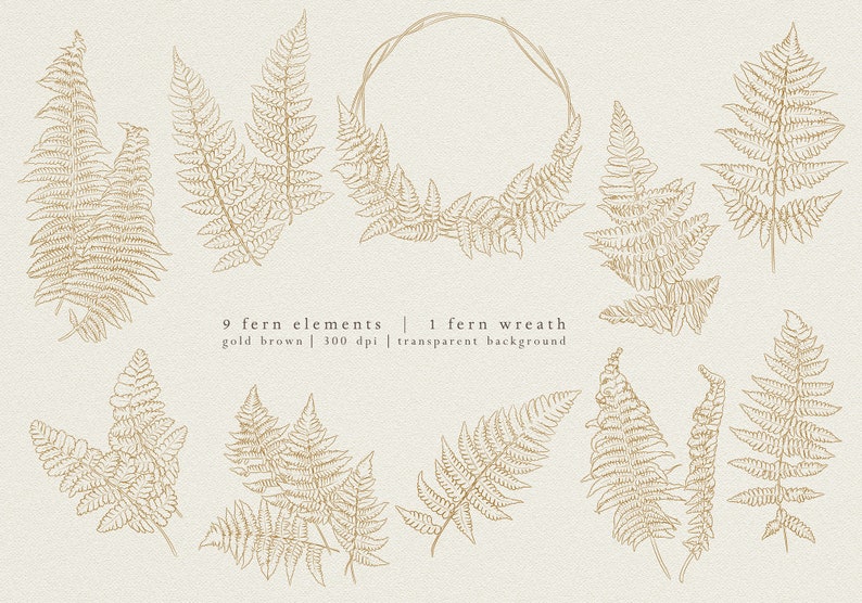 Fern Line Art, SVG, Botanical Clipart, Hand Drawn, Flower Line Art ...