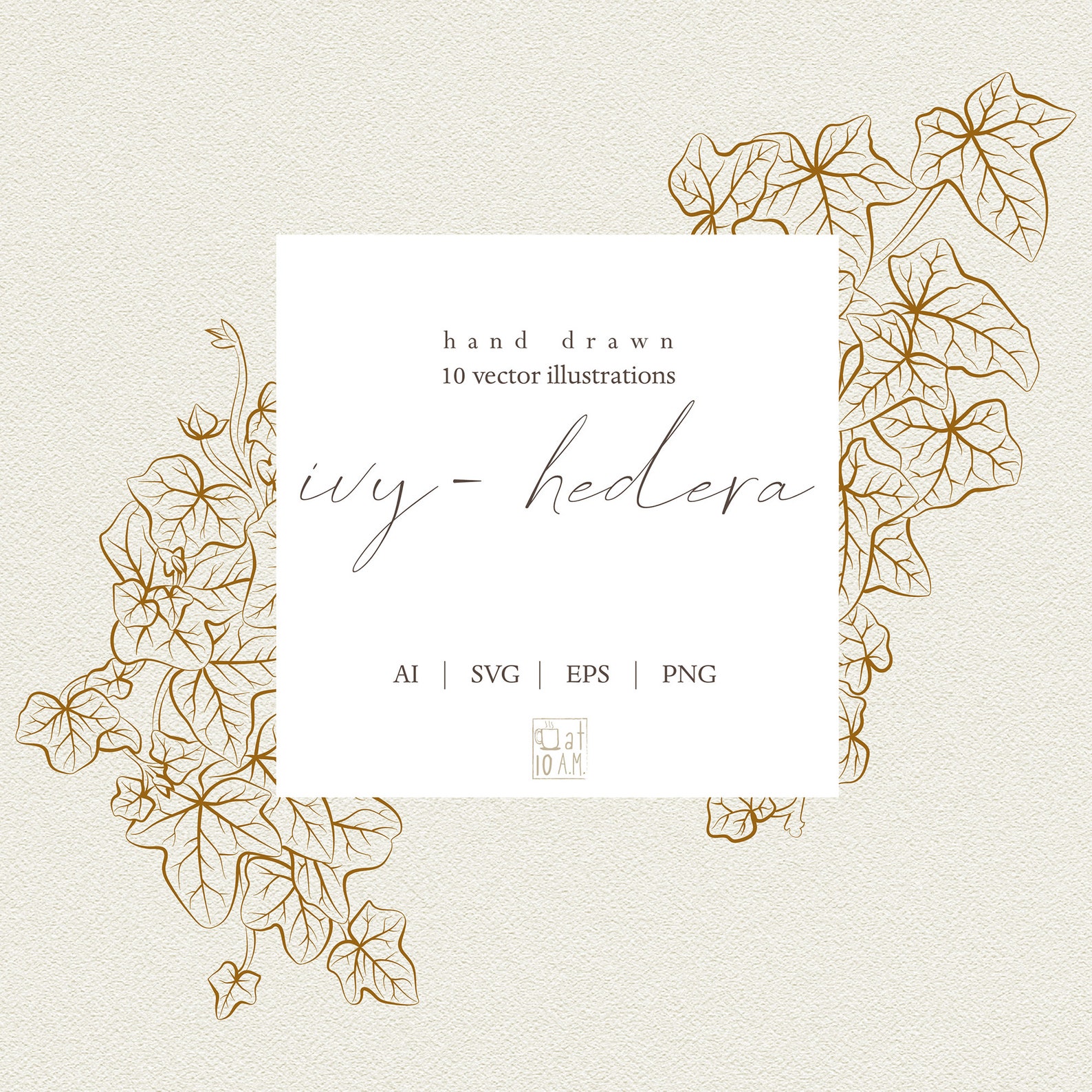 Ivy, Hedera Line Art, Botanical Clipart, SVG, Hand Drawn, Flower Line ...
