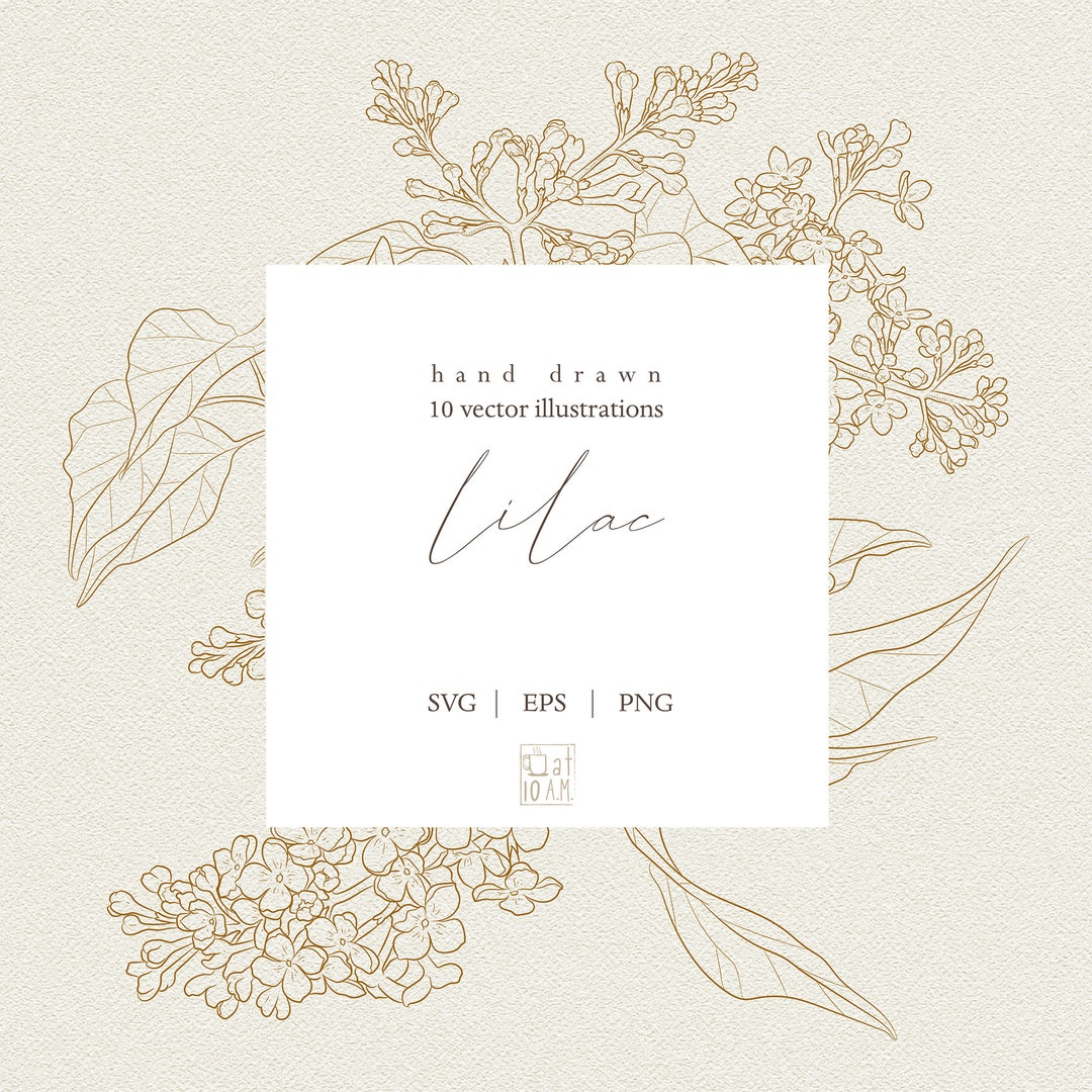 Lilac Line Art, Flower Line Art, Botanical Clipart, SVG, Hand Drawn ...