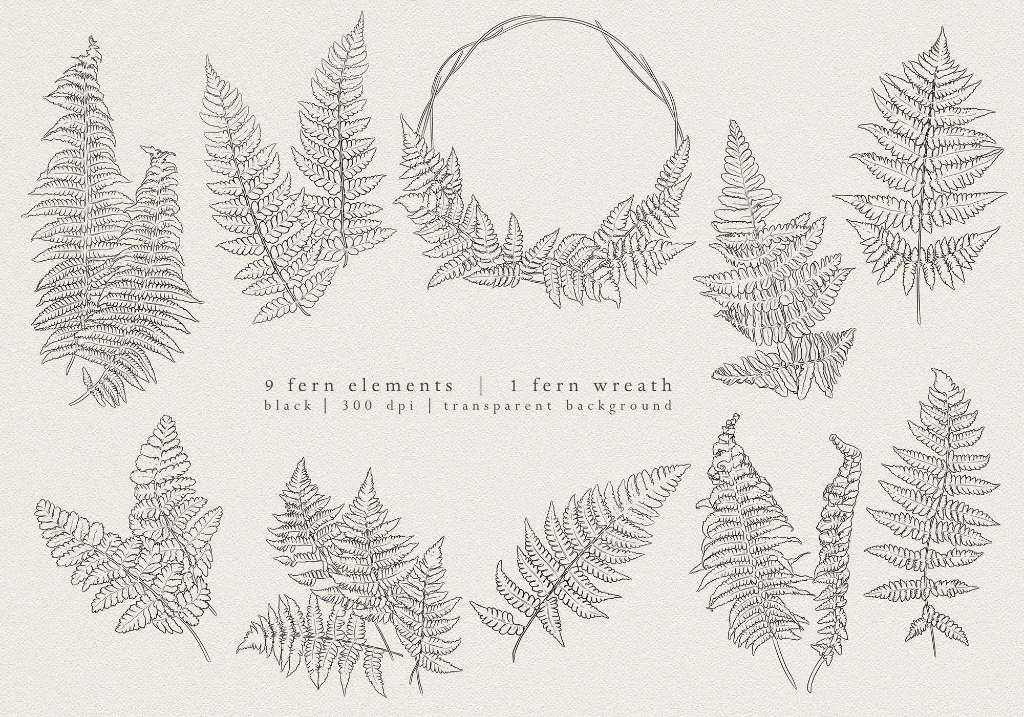 Fern Line Art, SVG, Botanical Clipart, Hand Drawn, Flower Line Art ...
