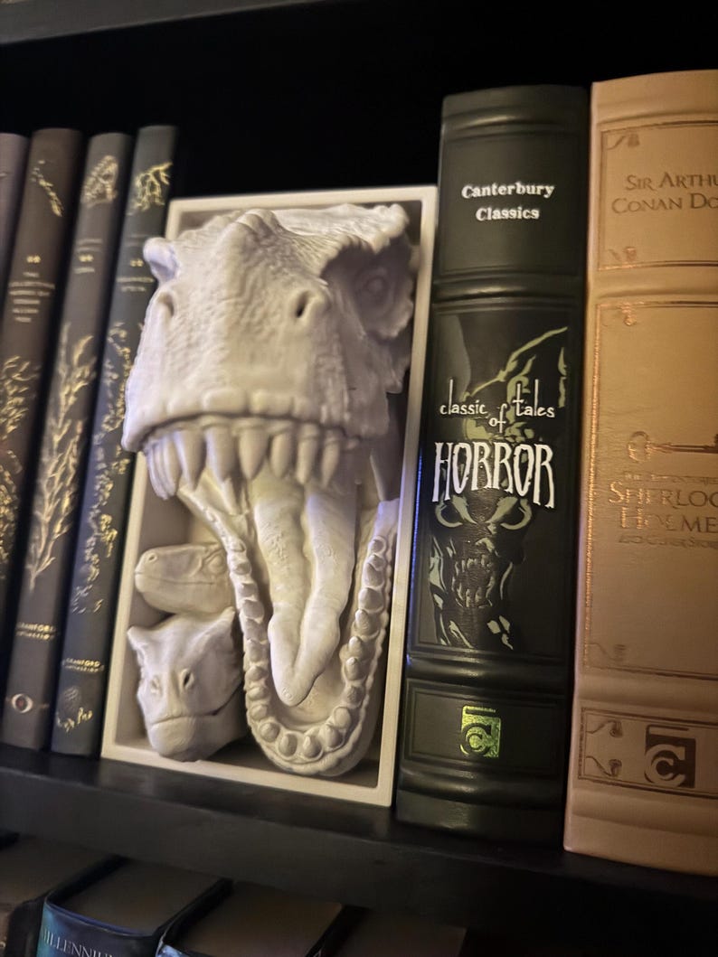 Dinosaur Book Nook | T-rex 3D Printed Shelf Insert | Unique Gift for ...