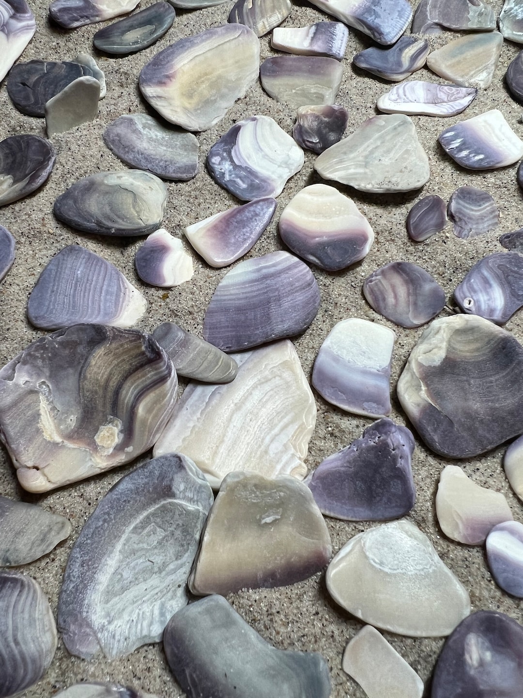 50 Purple Wampum Shell Pieces Assorted Sizes | Quahog Clam | Jewelry ...