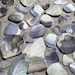 50 Purple Wampum Shell Pieces Assorted Sizes Quahog Clam - Etsy