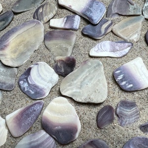 50 Purple Wampum Shell Pieces Assorted Sizes | Quahog Clam | Jewelry ...