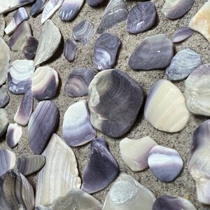 50 Purple Wampum Shell Pieces Assorted Sizes | Quahog Clam | Jewelry ...