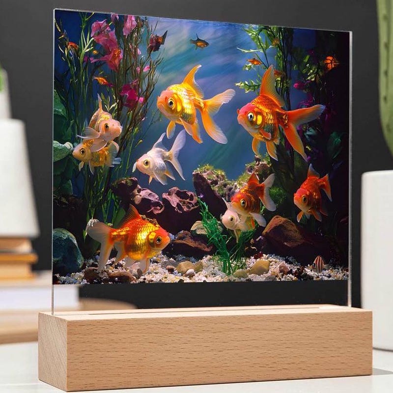 Aquarium Birthday - Etsy