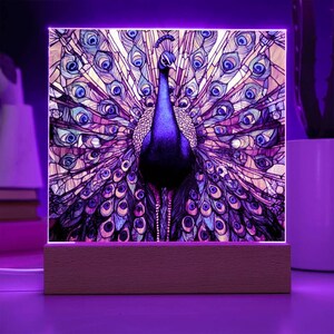 Peacock Stained Glass Effect Acrylic Plaque LED Light Gift for Bird ...