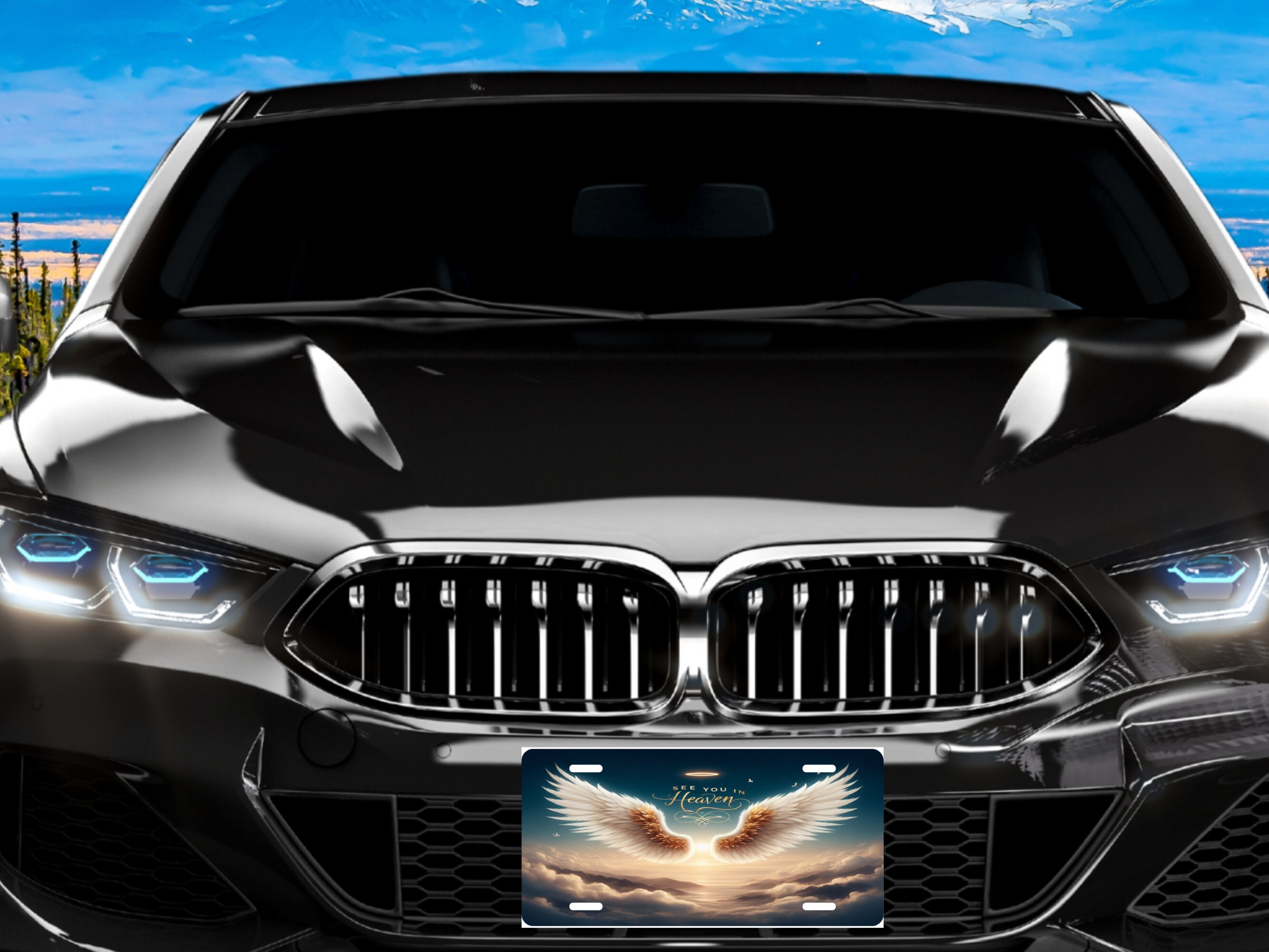 Angel Wings Front License Plate, Custom Car Decor (PNG Digital Download ...