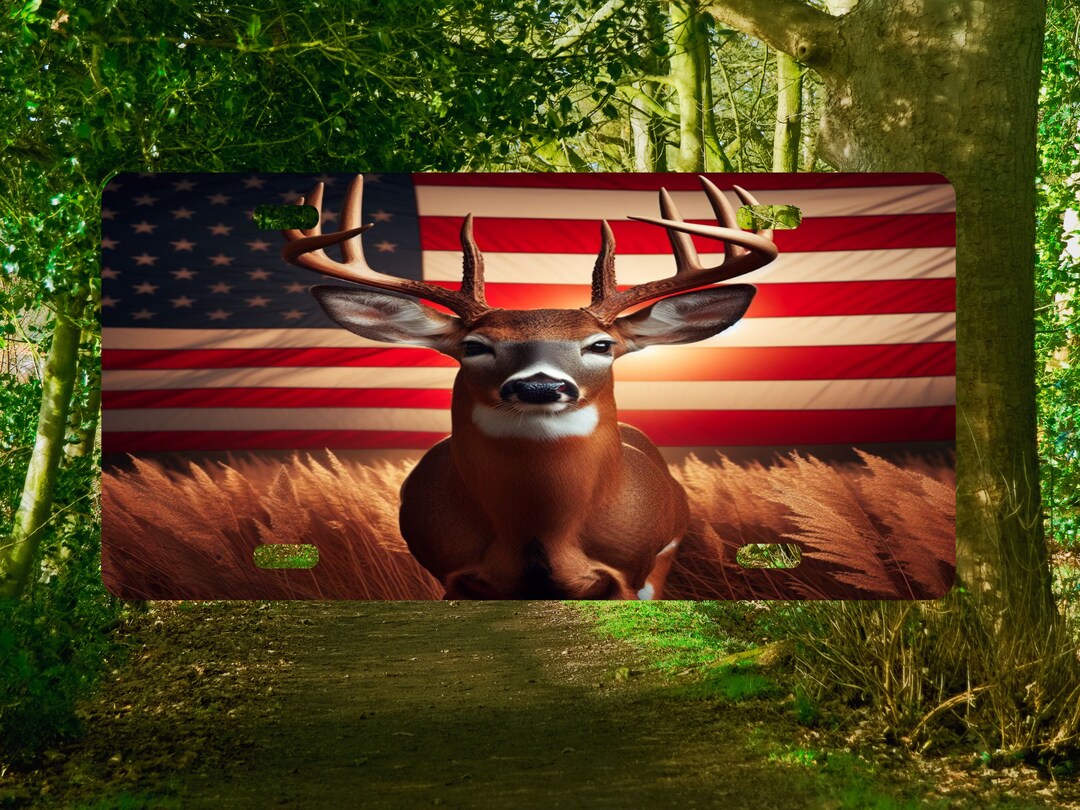 Buck in A Meadow, License Plate PNG, Deer Hunting, License Plate PNG ...