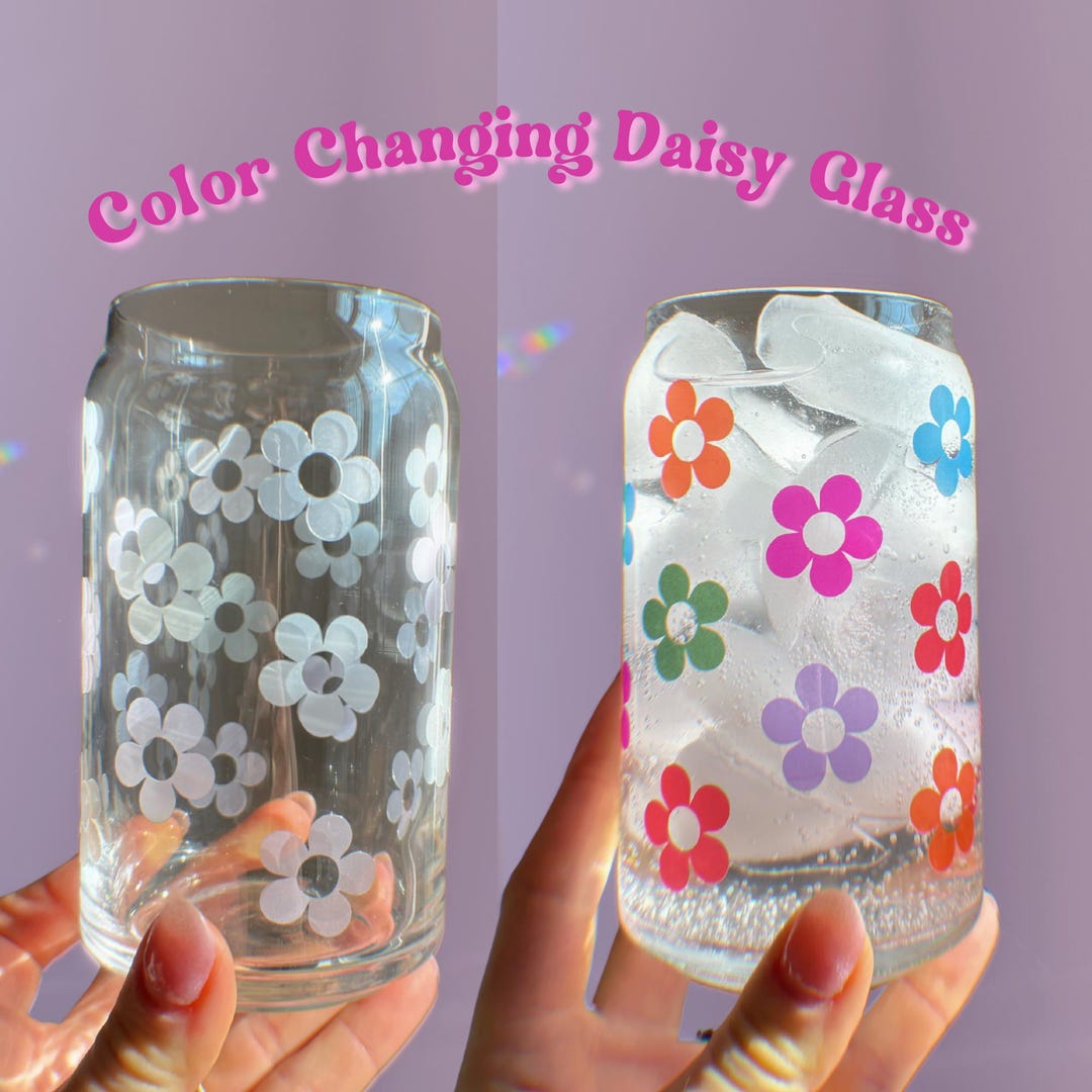 Color Changing Daisy Glass: Rainbow 16 Oz Beer Can Glass - Etsy