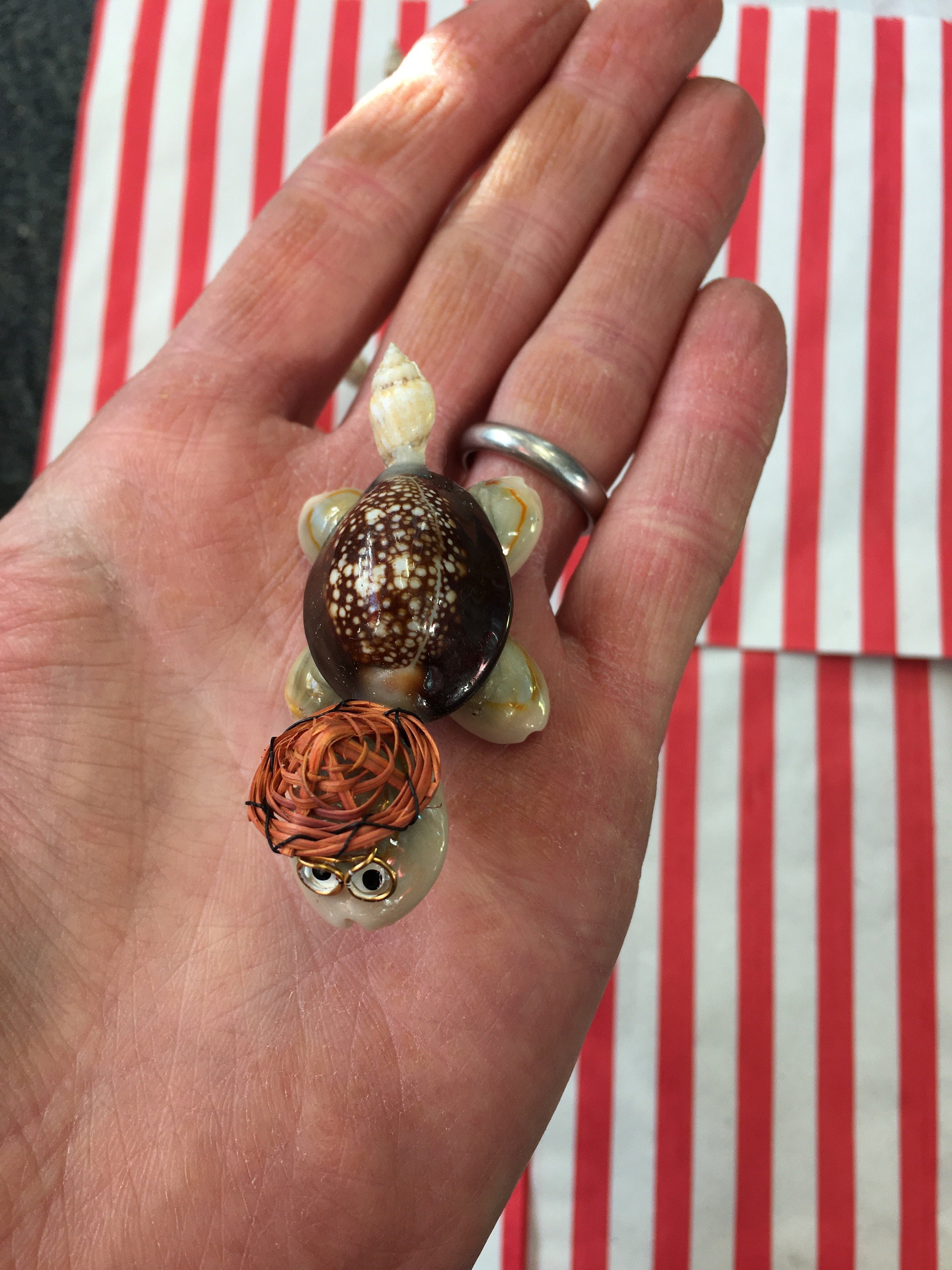 Shell Turtle X4 Hand Made Set of 4 Cute Lucky Charm Ornament Cowrie ...