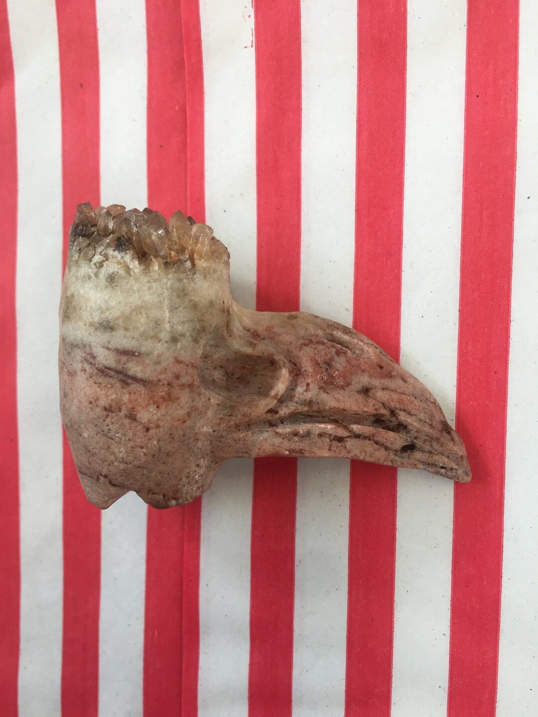 Quartz Crystal Raven Bird Skull Raw Cluster Carving for All Round ...
