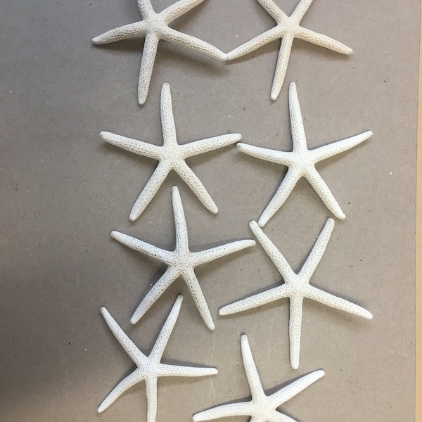 Finger Starfish - Etsy