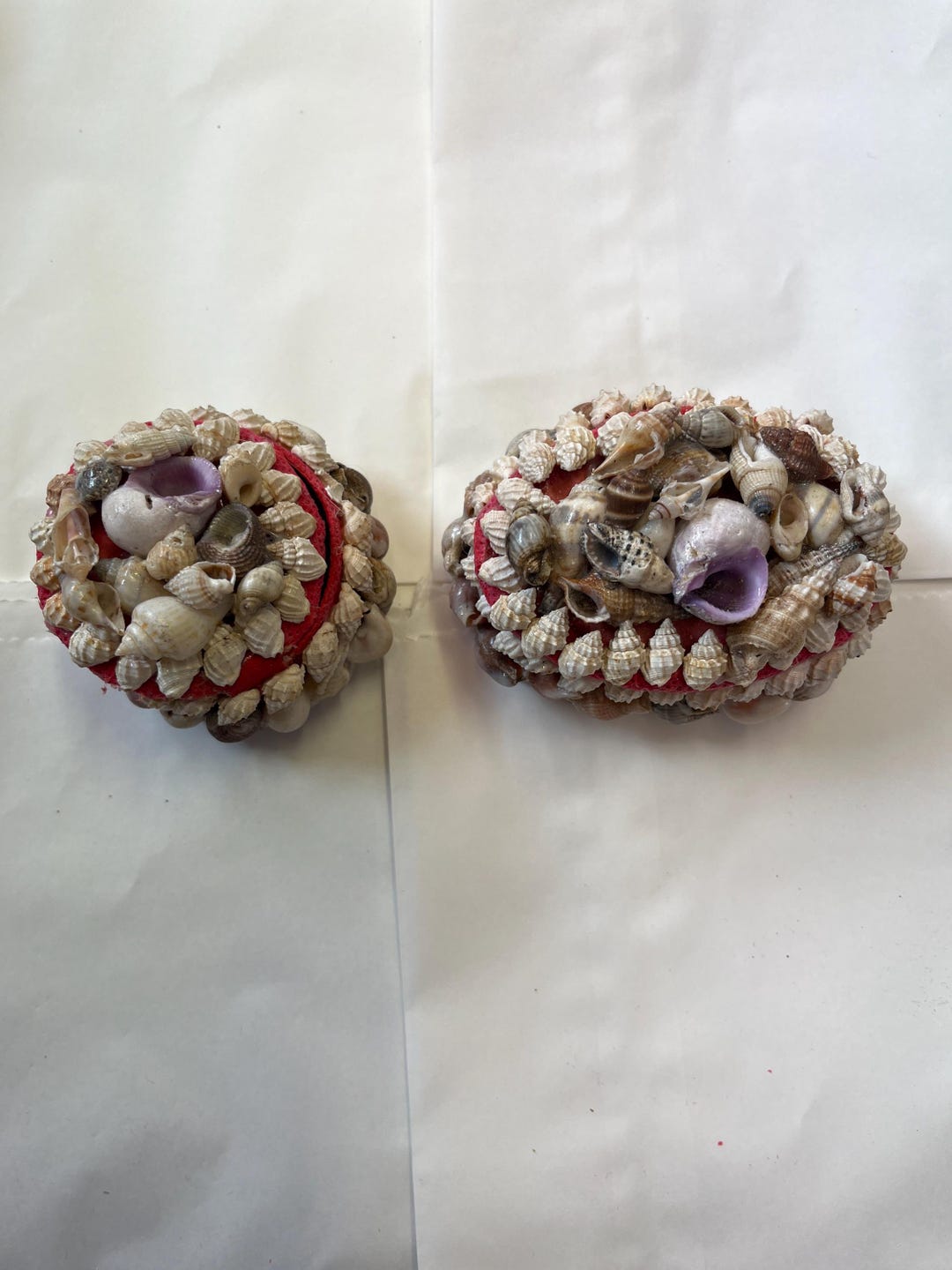 Mini Shell Jewellery Box Trinket With Red Cloth Lining Handmade Natural ...