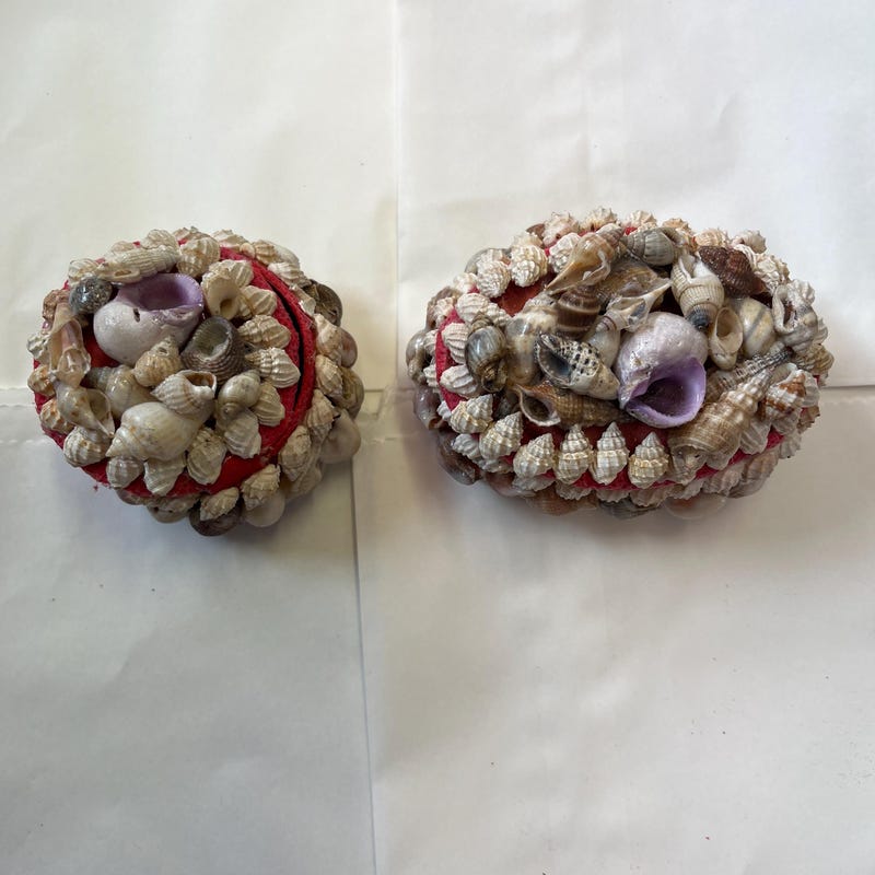 Shell Box - Etsy