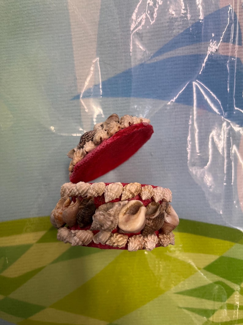 Mini Shell Jewellery Box Trinket With Red Cloth Lining Handmade Natural ...