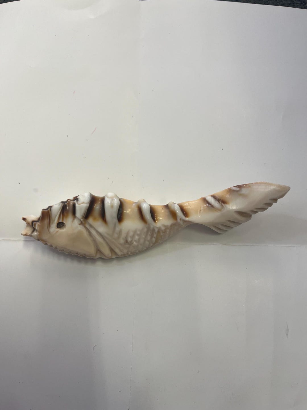 King Helmet Conch Shell Fish Carving Koi Gold Fish Hand Carved Vintage ...