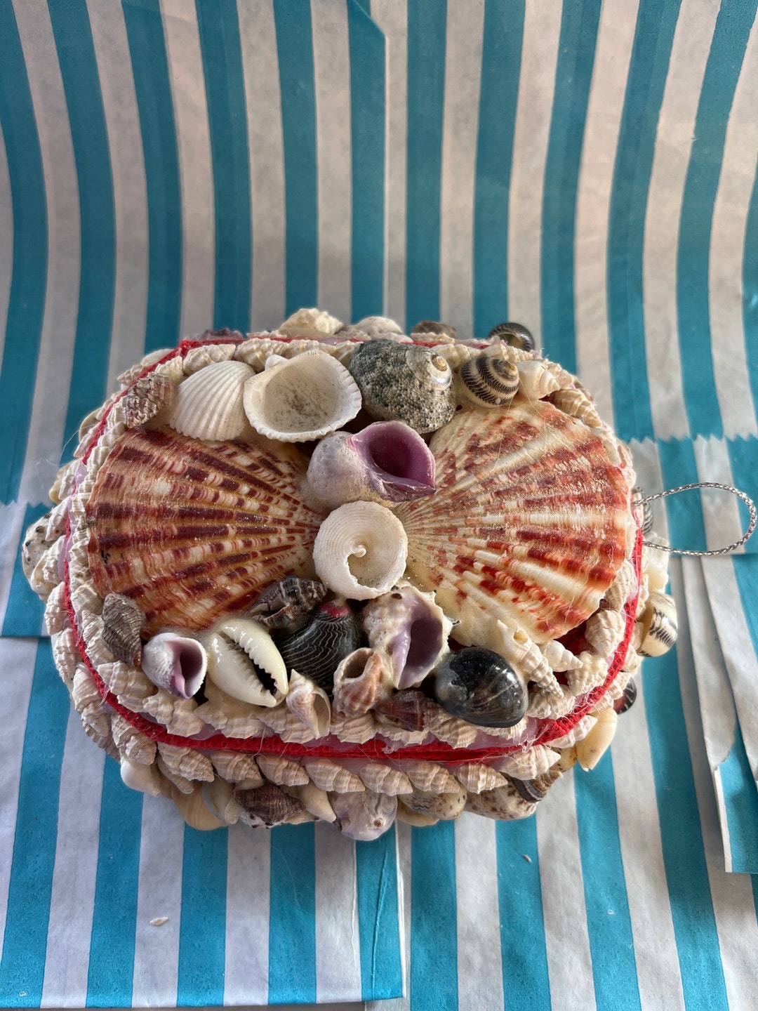 Medium Shell Jewellery Box Trinket With Red Cloth Lining Handmade ...