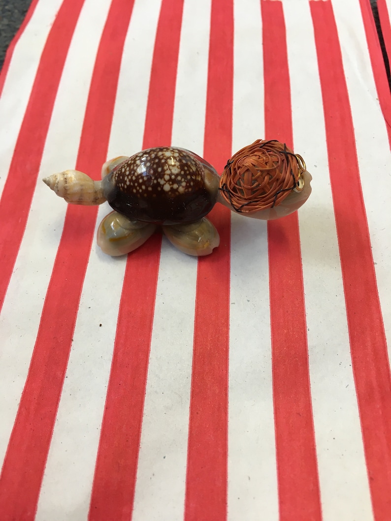Shell Turtle X4 Hand Made Set of 4 Cute Lucky Charm Ornament Cowrie ...