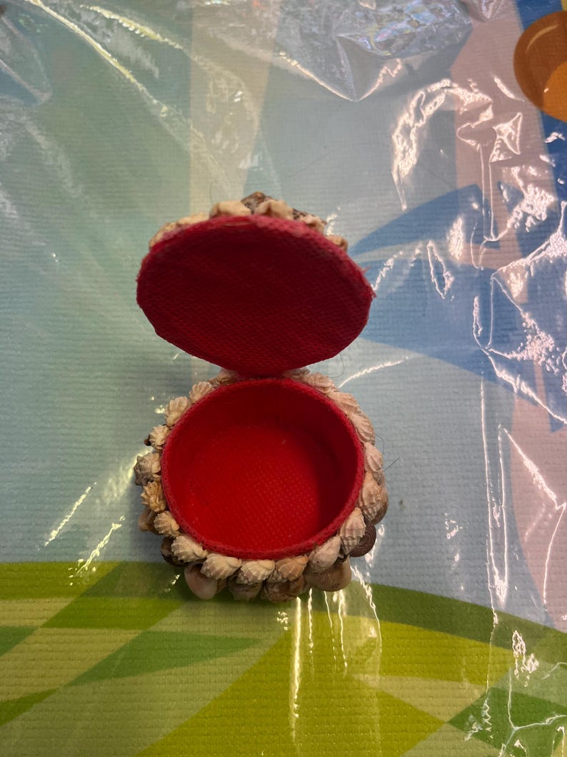 Mini Shell Jewellery Box Trinket With Red Cloth Lining Handmade Natural ...