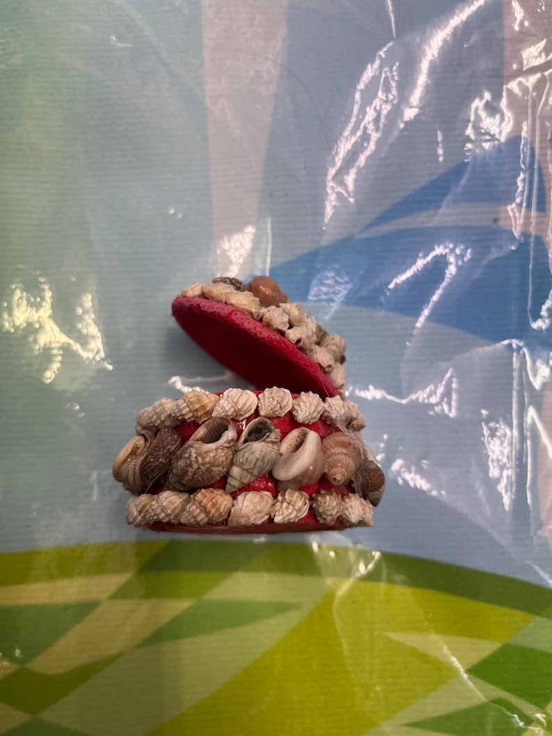 Mini Shell Jewellery Box Trinket With Red Cloth Lining Handmade Natural ...