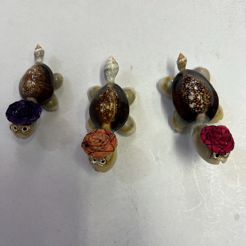 Plant Turtle Shell - Etsy UK