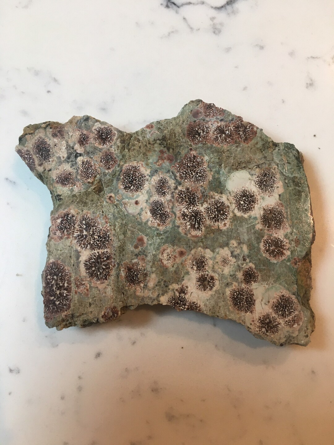 Green Sakura Jasper Flower Jasper Crystal Slab Raw Mineral Slice ...