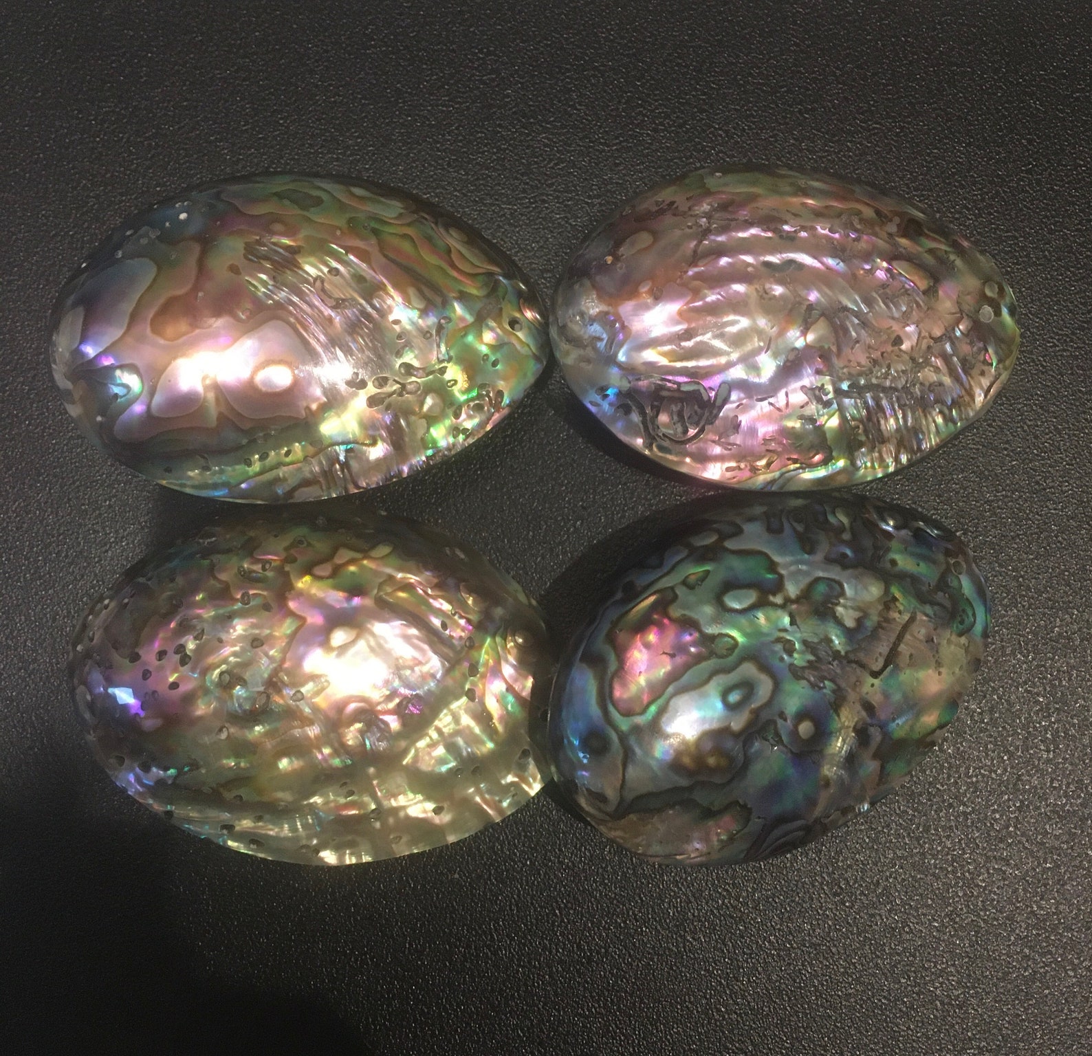 Abalone Paua Shell Complete Pair for Display Pendant From New Zealand ...