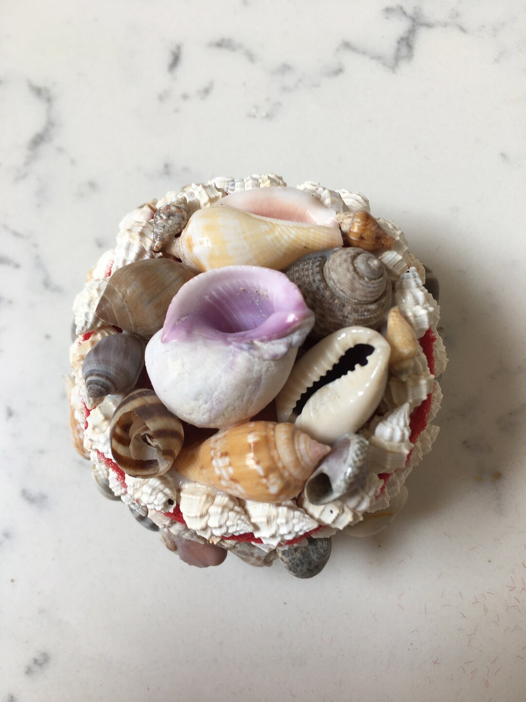 Mini Shell Jewellery Box Trinket With Red Cloth Lining Handmade Natural ...