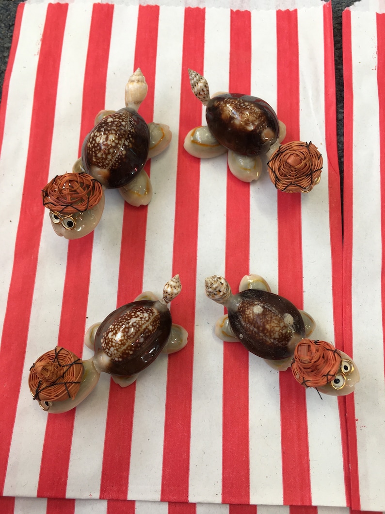 Shell Turtle X4 Hand Made Set of 4 Cute Lucky Charm Ornament Cowrie ...