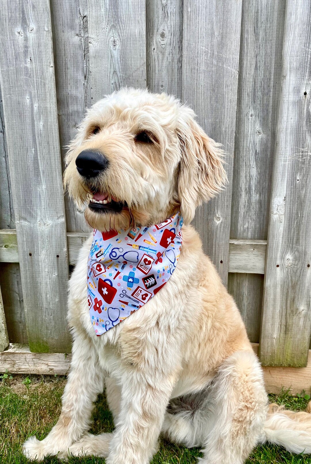 Healthcare Nurse Snap on Dog Bandana - Etsy