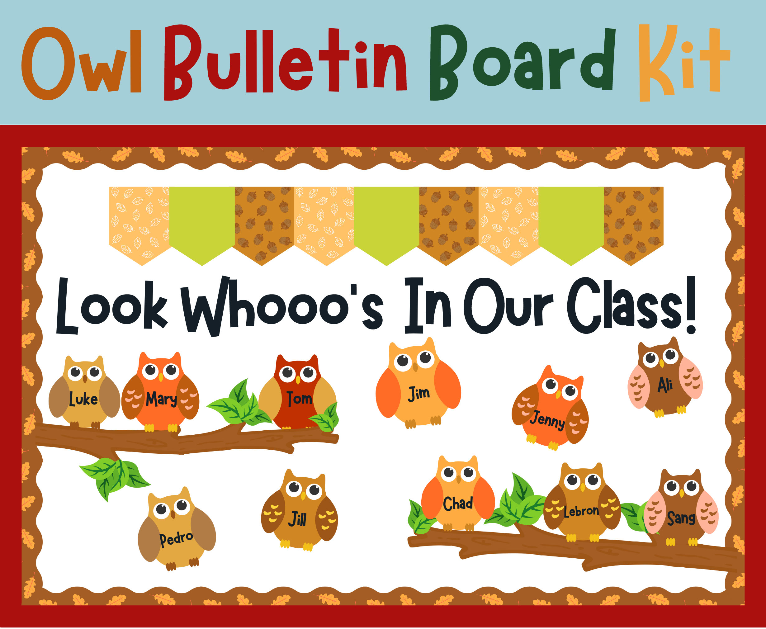 Owl Bulletin Board Kit Cute Owl Theme For Your Classroom Etsy