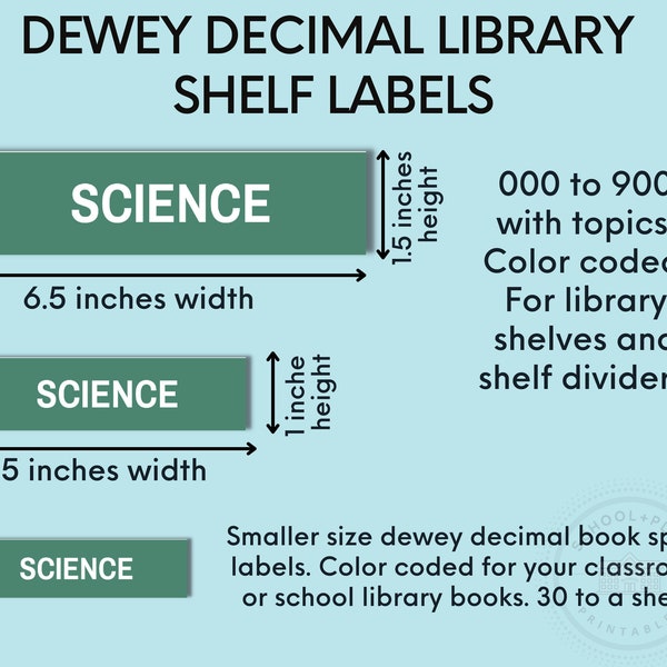 Divider Shelf - Etsy