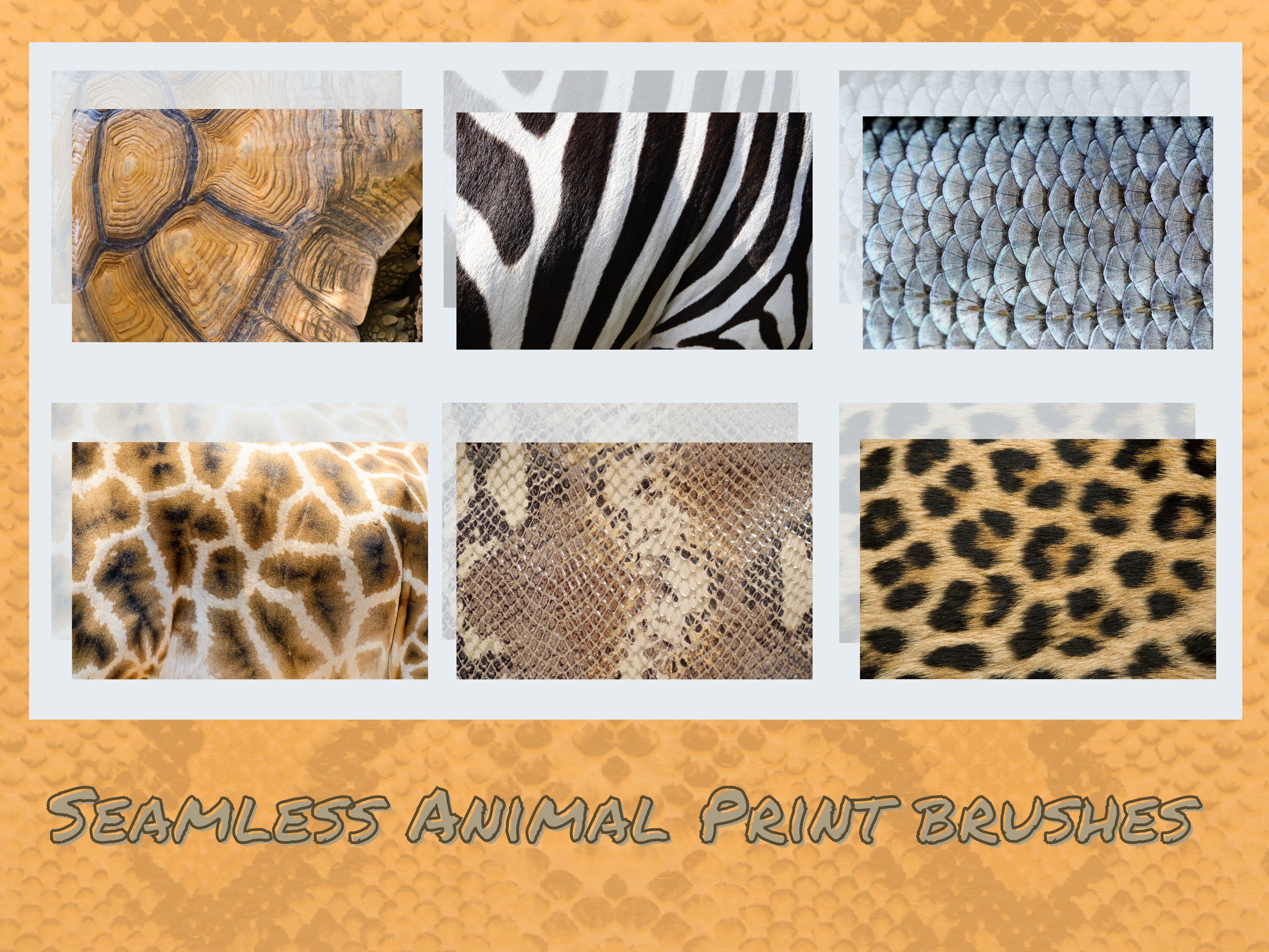 Procreate Animal Print Brush, Procreate Brush Set, Digital Animal Print ...